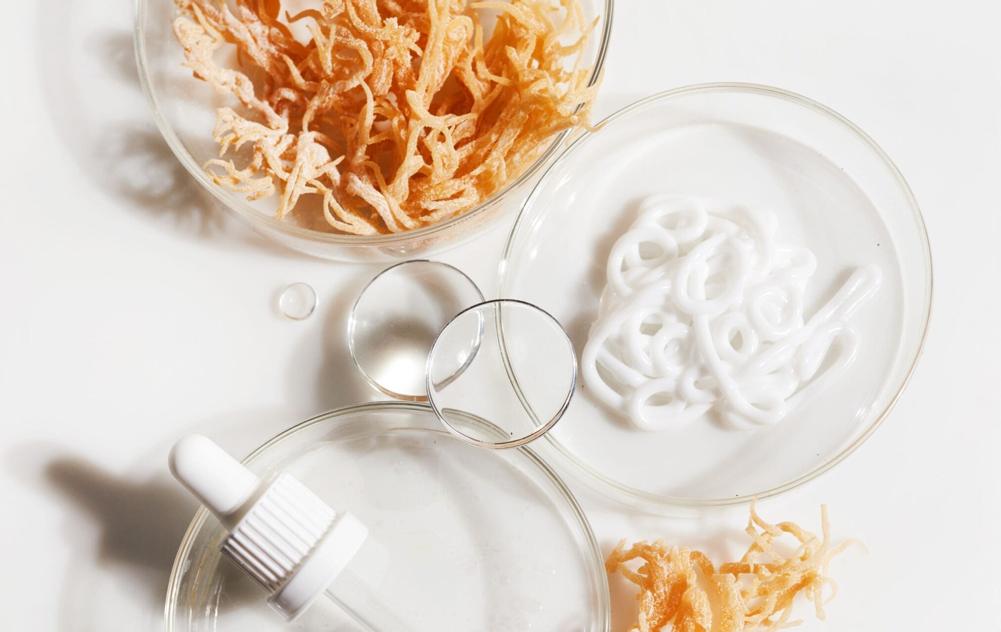 MoCRA Guide for European Cosmetic Industry & FDA Registration