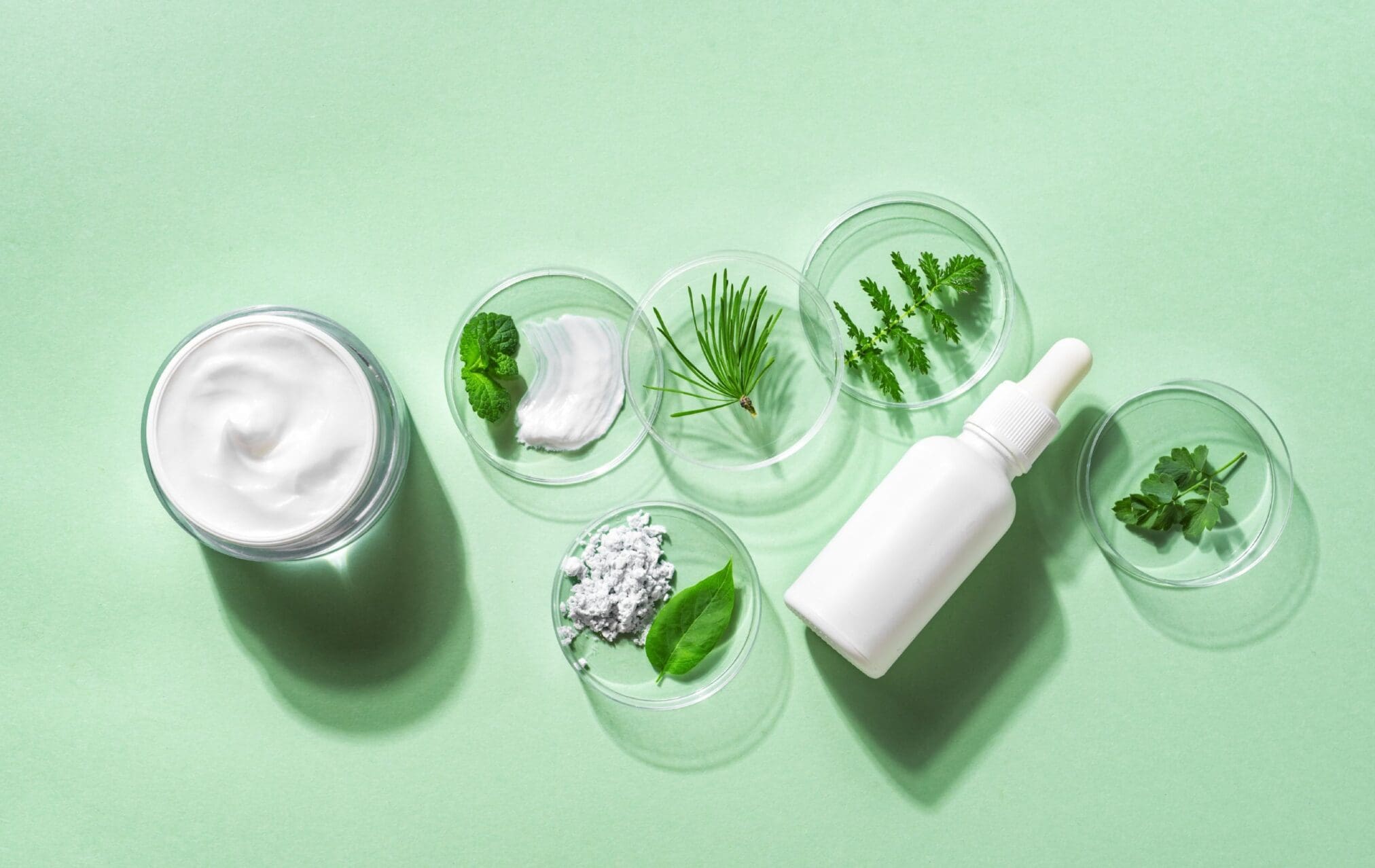 February 2025 EU Cosmetics Deadlines: Annex II & III Updates